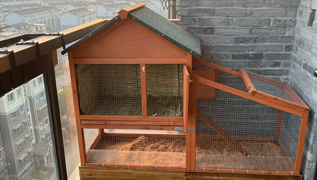 How To Build A Chicken Coop On The Balcony