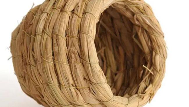 Rutin Chicken Fermentation Bed Method And How To Make A Nest