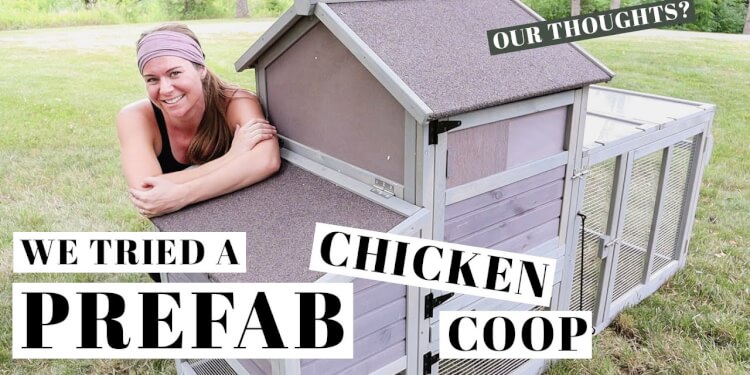 Prefab Chicken Coop Assembly: A Comprehensive Guide for Beginners